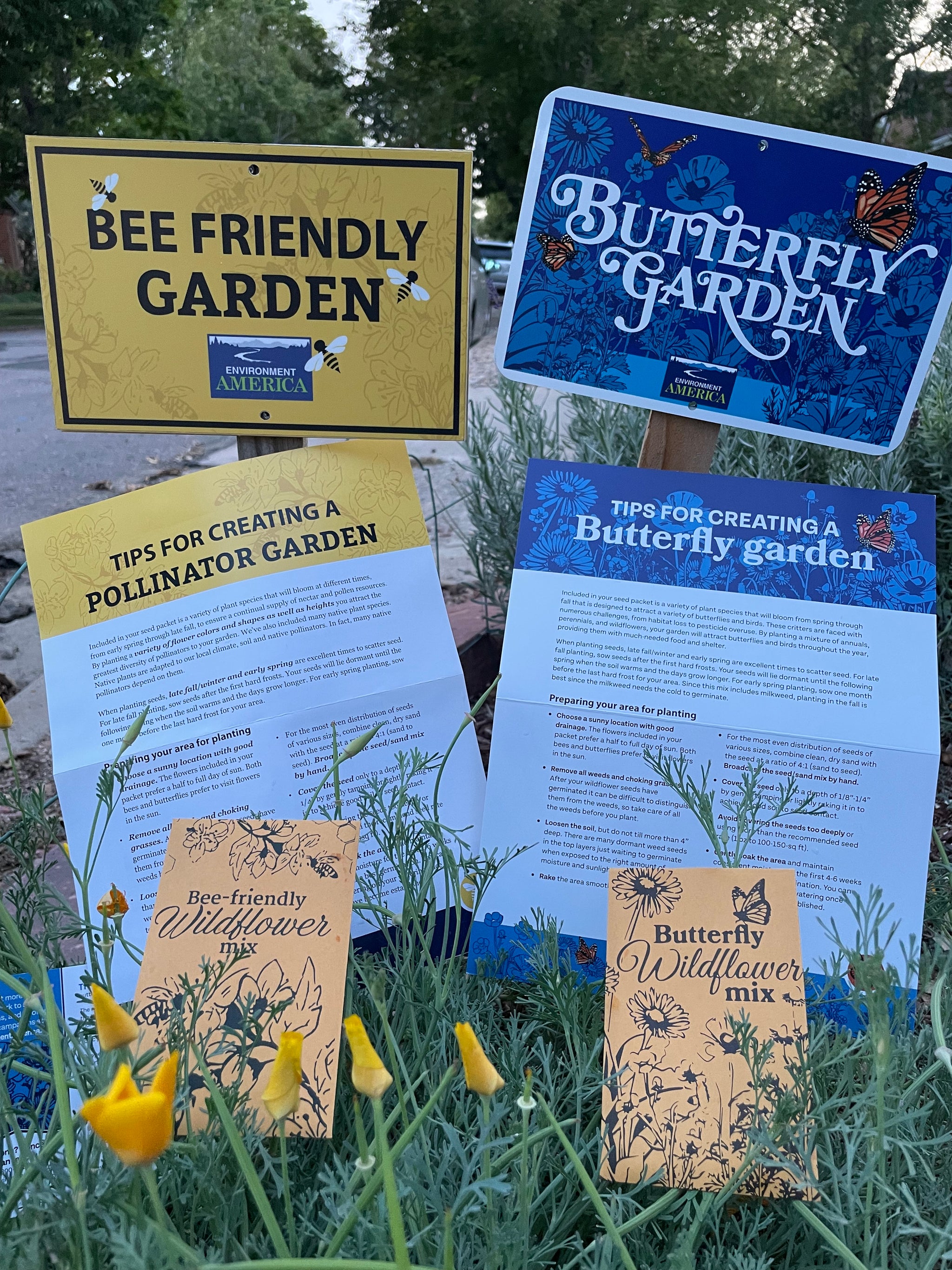 Pollinator Gardens Bundle – Environment America Shop